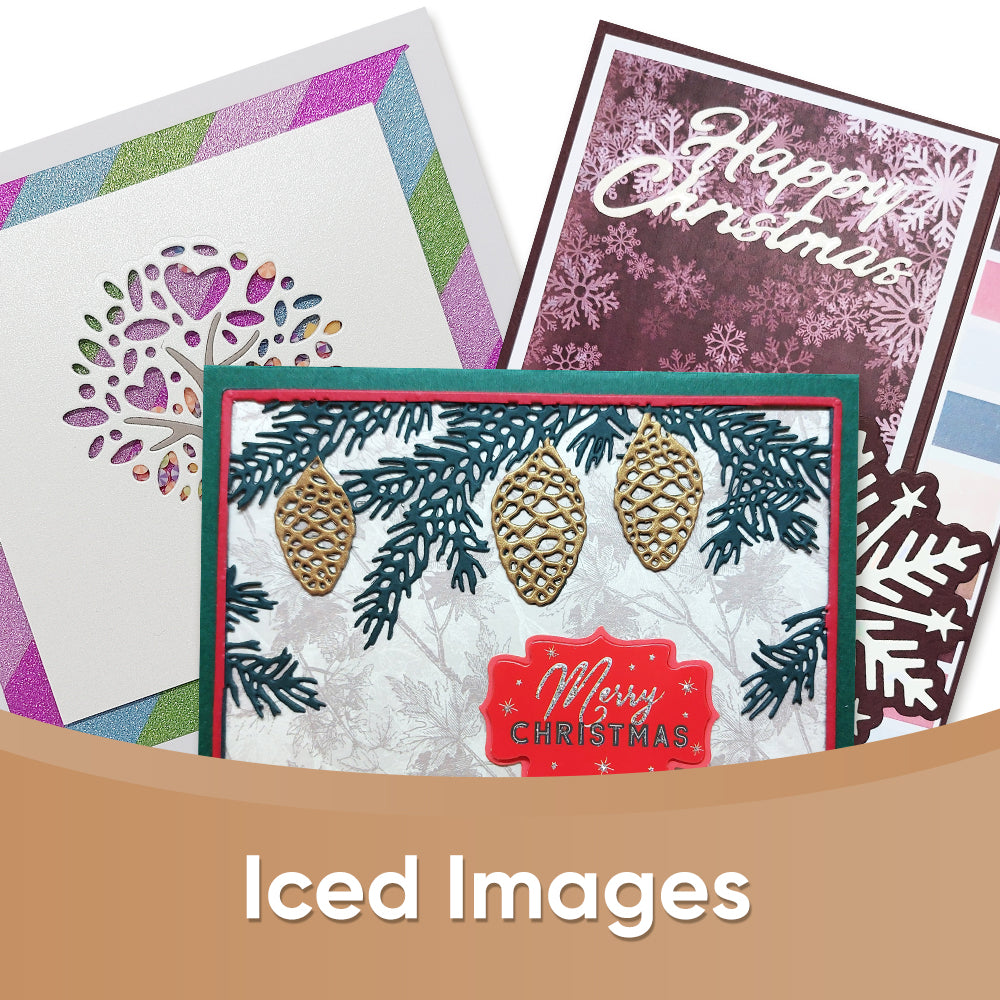 Iced Images – kokorosastudio.com